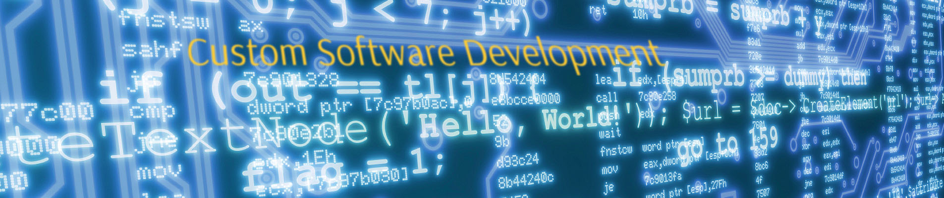 Techwuli - Custom Software Development